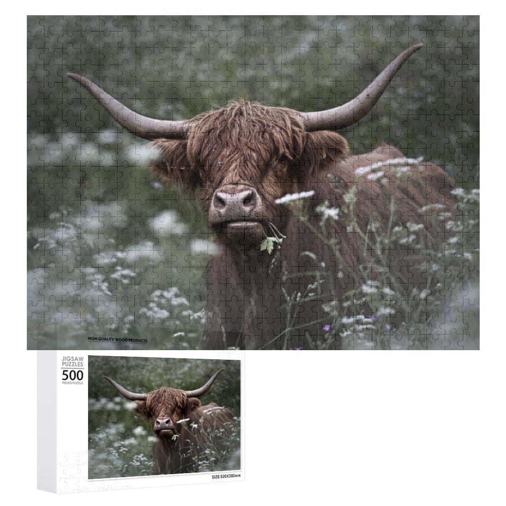 Brown Highland Cattle Cow in Green Grass with White Flowers Jigsaw ...