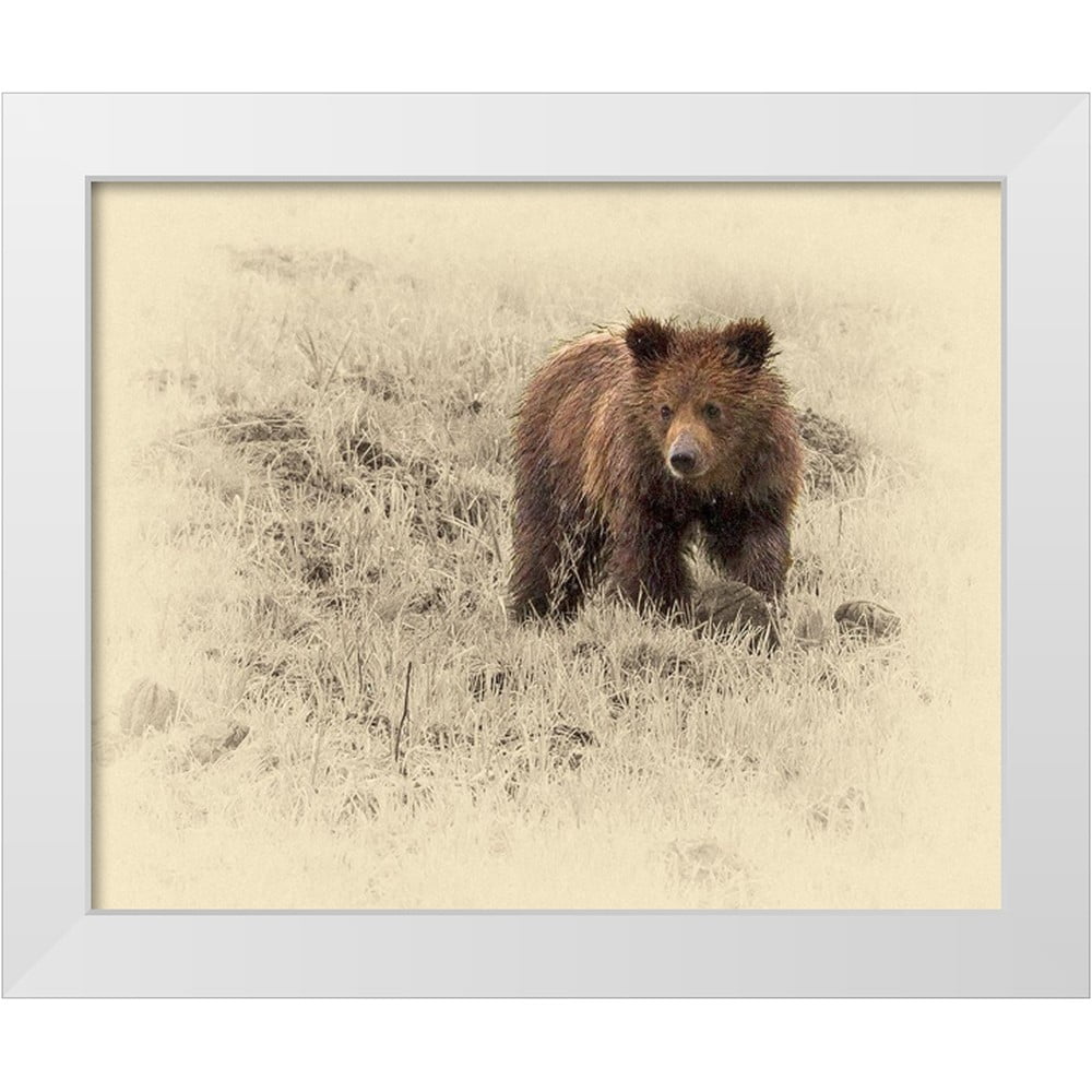 Brown, Jim 14x12 White Modern Wood Framed Museum Art Print Titled ...