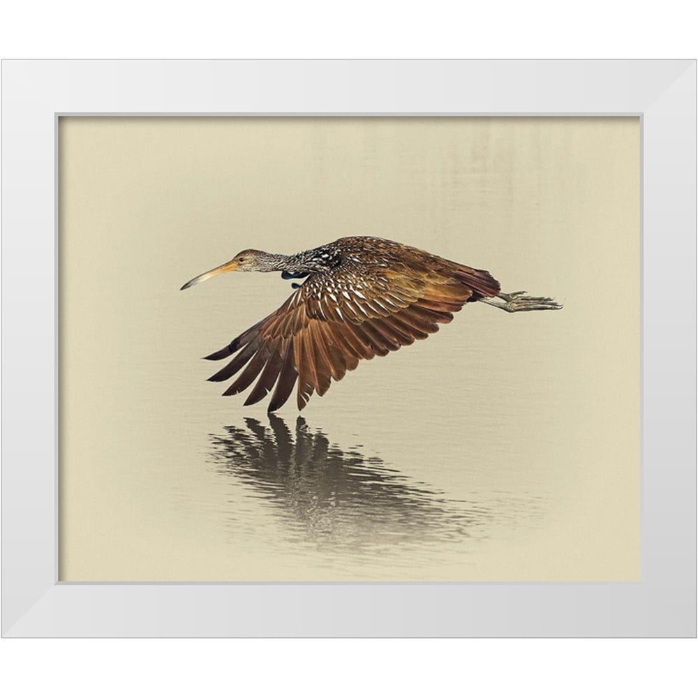 Brown, Jim 14x12 White Modern Wood Framed Museum Art Print Titled ...