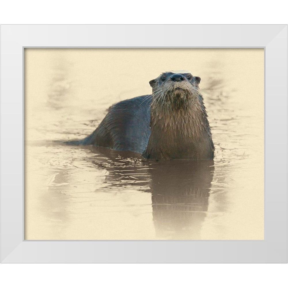 Brown, Jim 14x12 White Modern Wood Framed Museum Art Print Titled ...