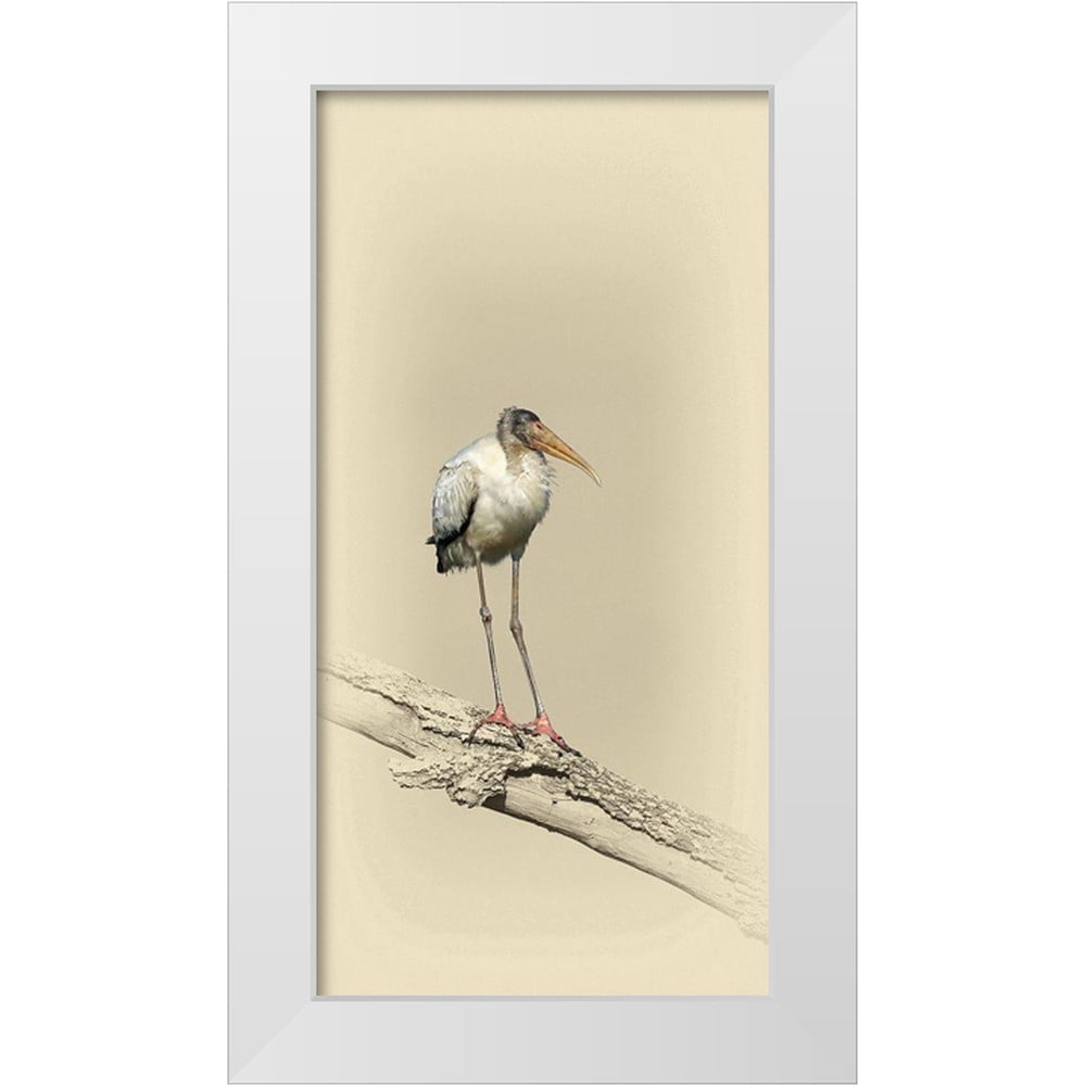 Brown, Jim 18x32 White Modern Wood Framed Museum Art Print Titled ...