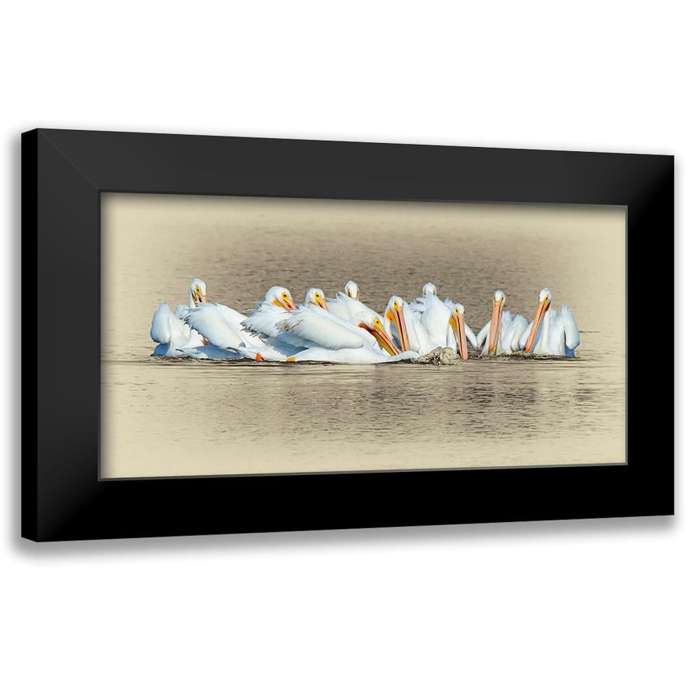 Brown, Jim 24x14 Black Modern Framed Museum Art Print Titled - White ...