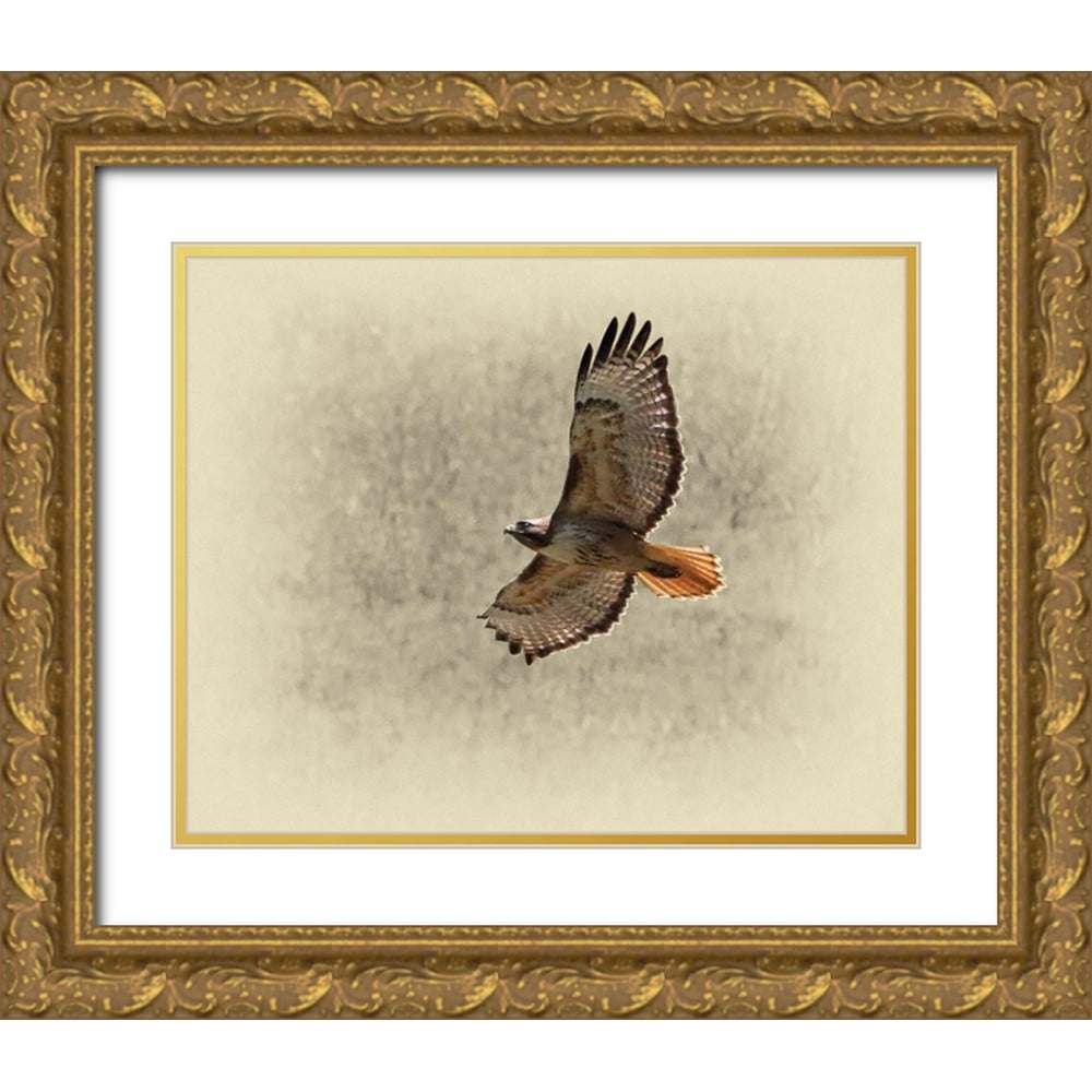 Brown, Jim 32x26 Gold Ornate Wood Framed with Double Matting Museum Art ...