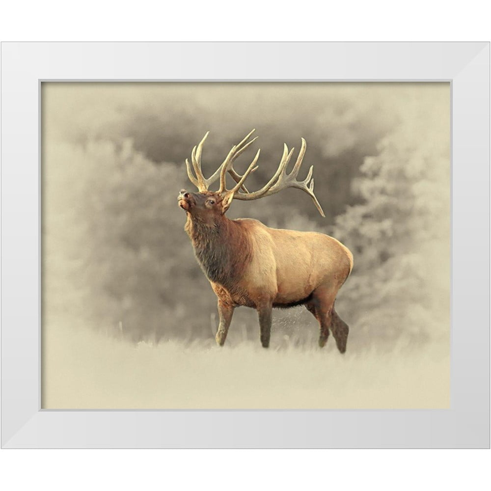 Brown, Jim 32x26 White Modern Wood Framed Museum Art Print Titled ...