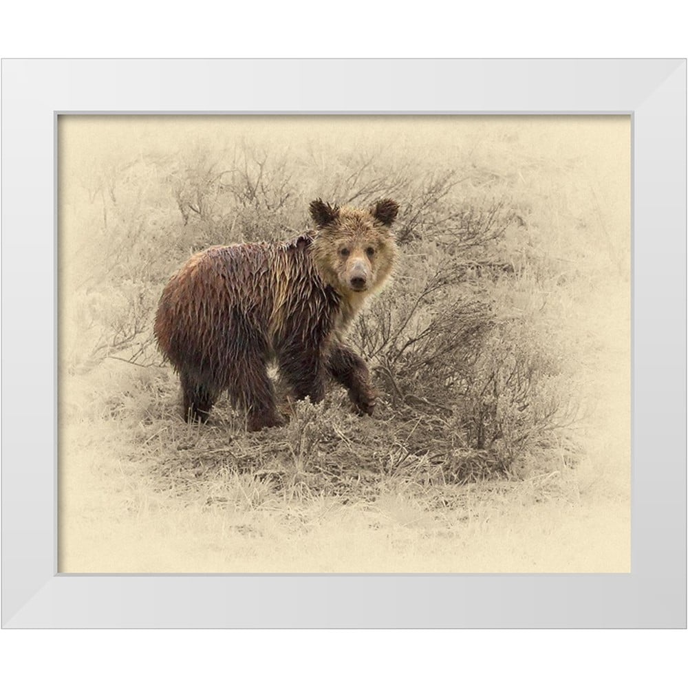 Brown, Jim 32x26 White Modern Wood Framed Museum Art Print Titled ...