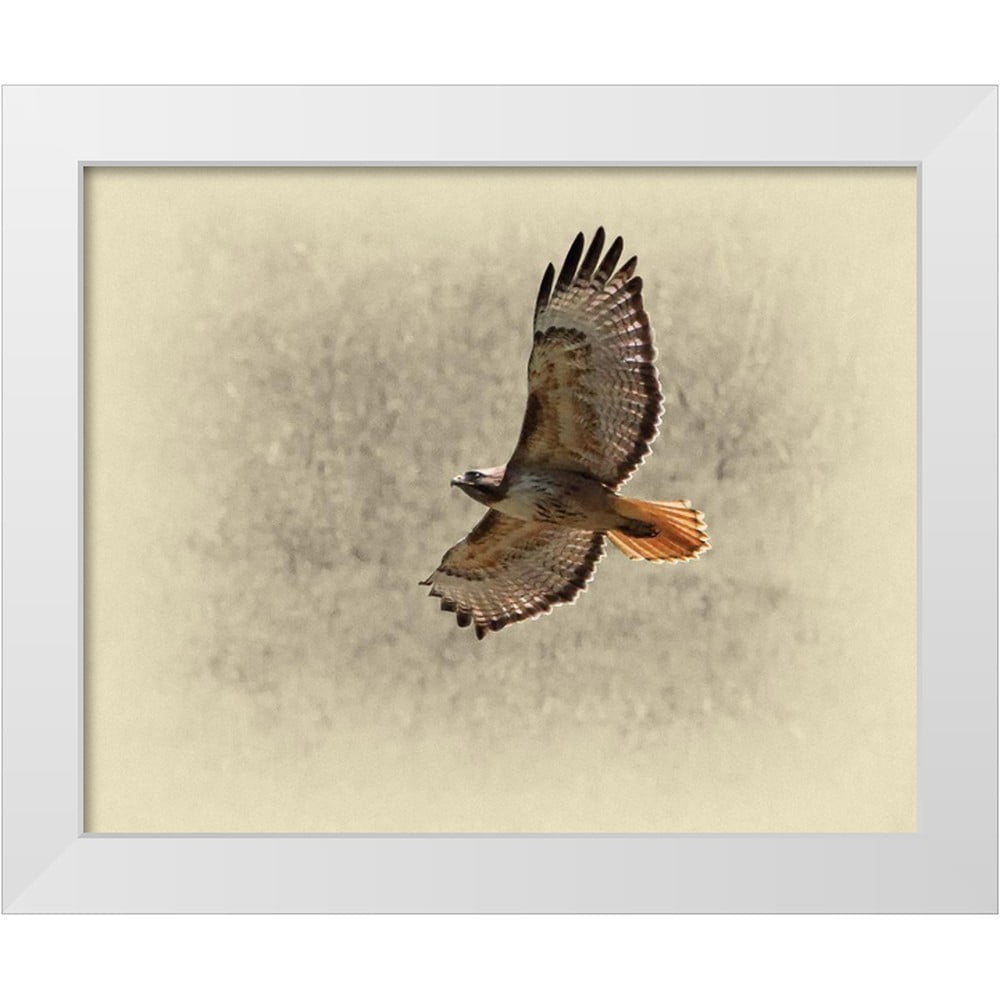 Brown, Jim 32x26 White Modern Wood Framed Museum Art Print Titled - Red ...