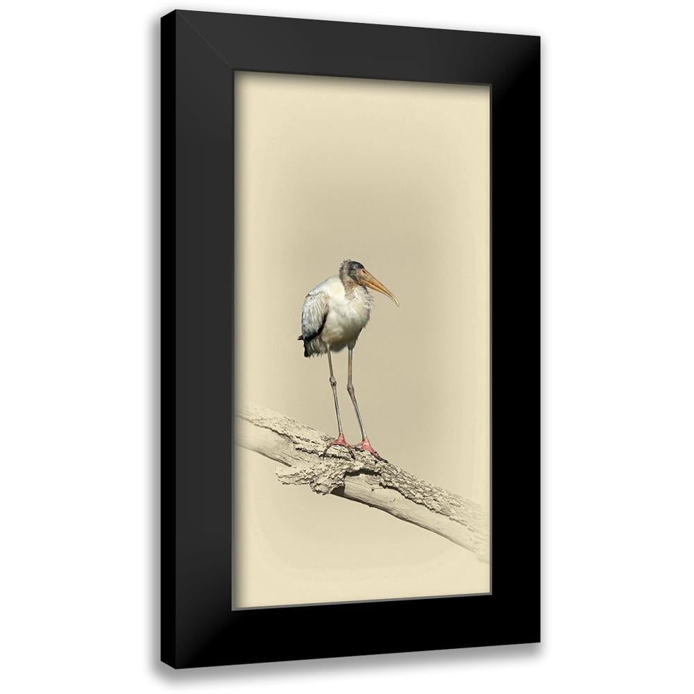 Brown, Jim 9x14 Black Modern Framed Museum Art Print Titled - Baby Wood ...