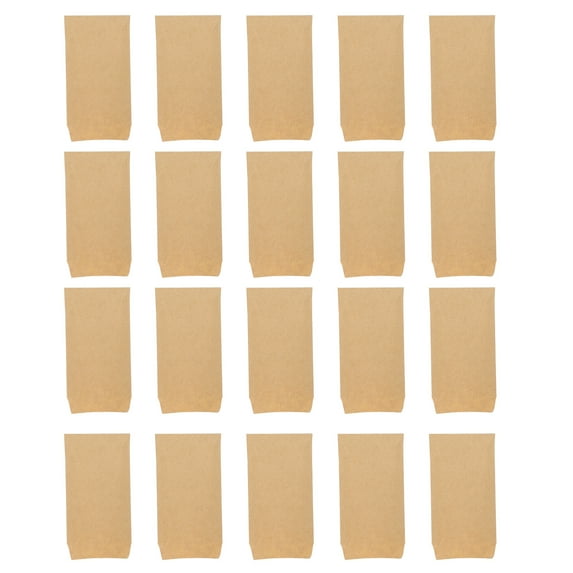 Brown Kraft Paper Envelopes: 100pcs for Seeds, Keys, Small Objects ...