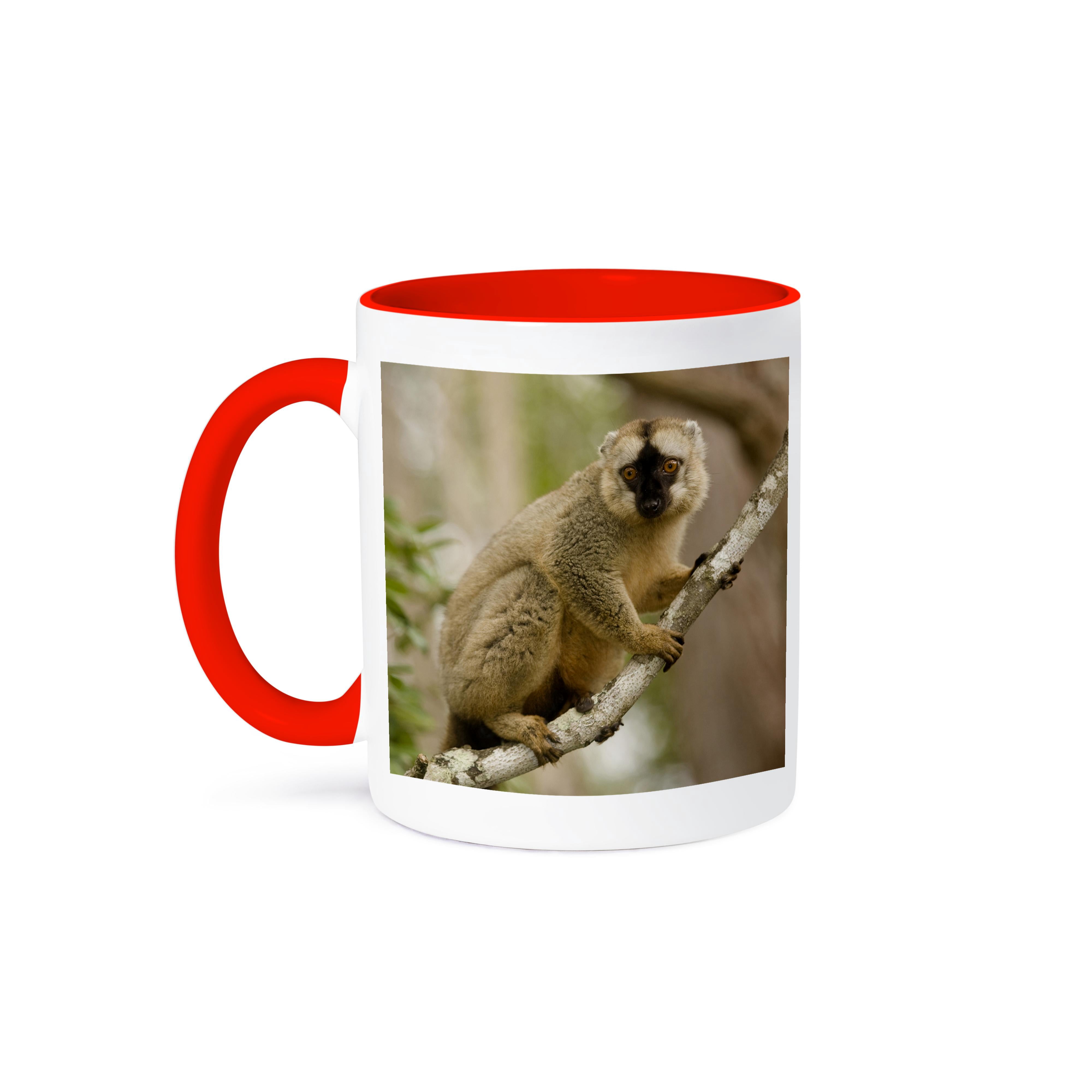 Brown Lemur In A Tree In Madagascar-Af24 Jmc0003 - Joe And Mary Ann ...