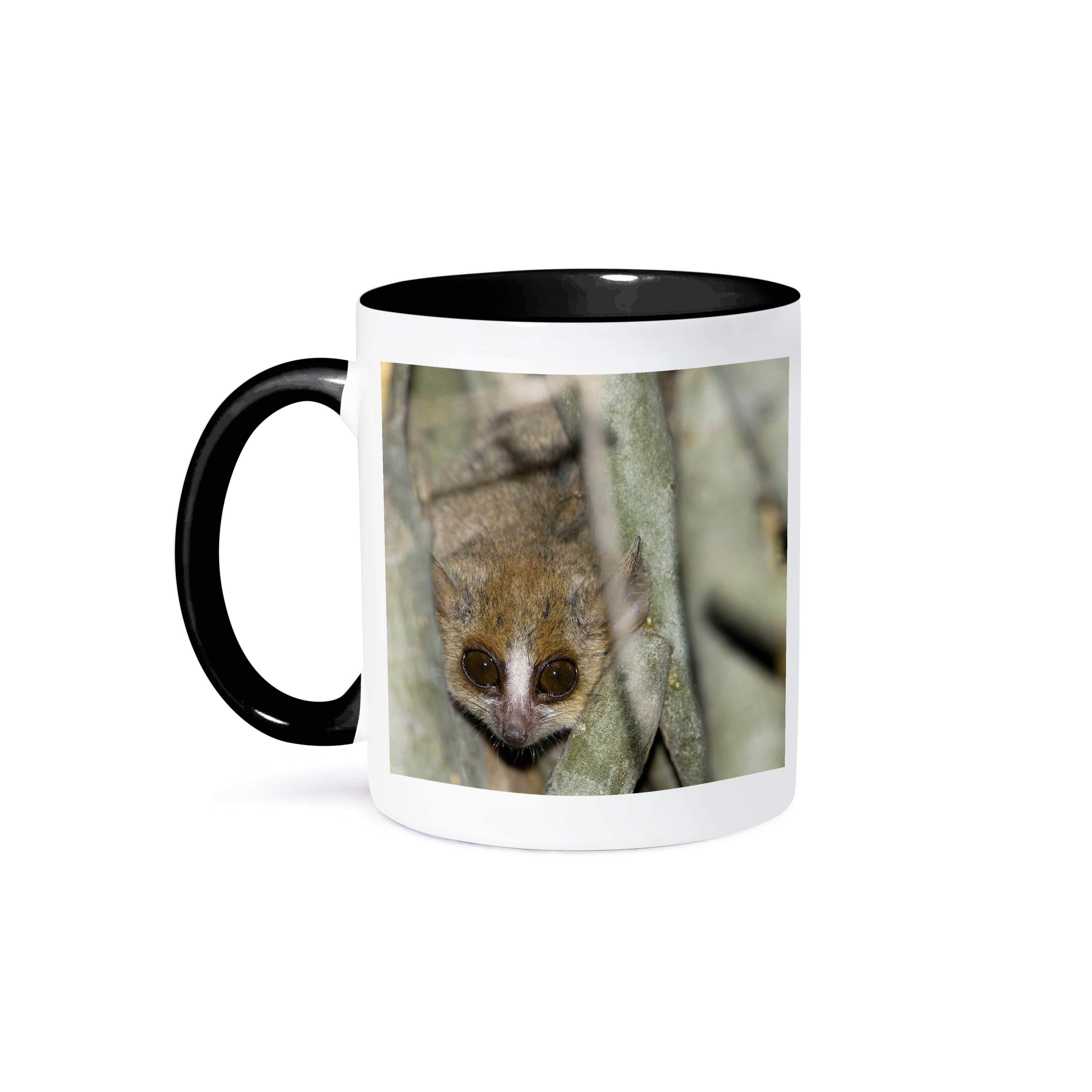 Brown Mouse Lemur, Tree Trunk In Madagascar-Af24 Jmc0005 - Joe And Mary ...