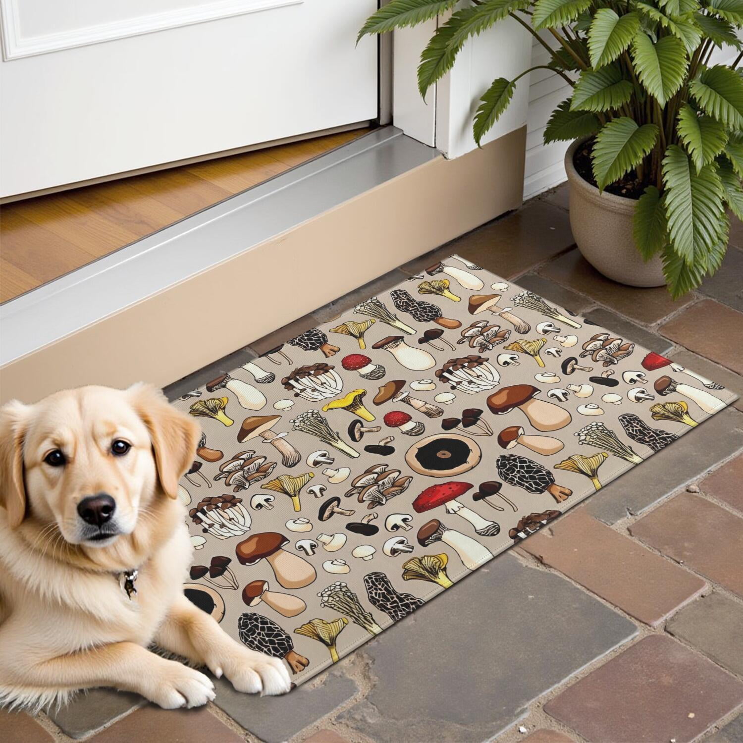 Brown Mushroom Line Light Pattern Door Rugs,Washable Non Slip Door Mats ...