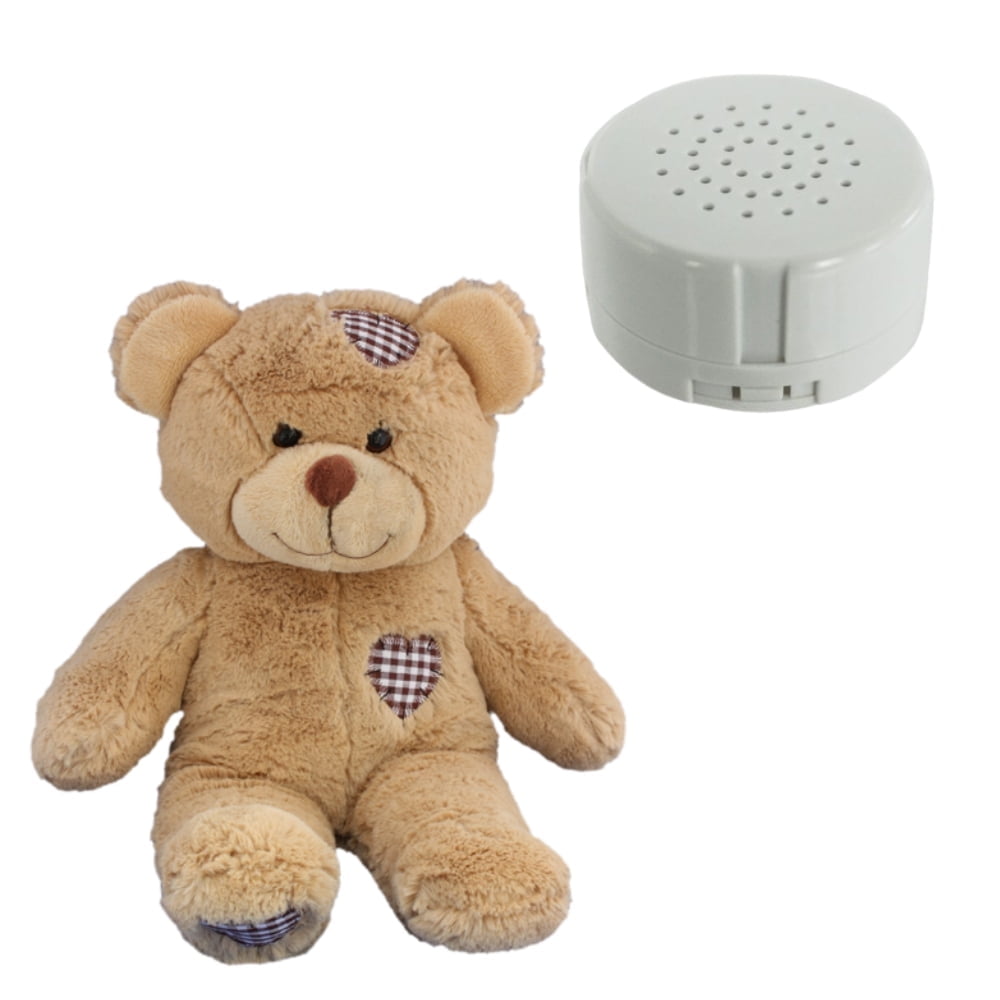 Build Bear Recorder