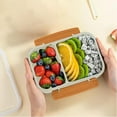 Brown Plastic Compartmentalized Lunch Box | Leak-Proof Food Storage ...