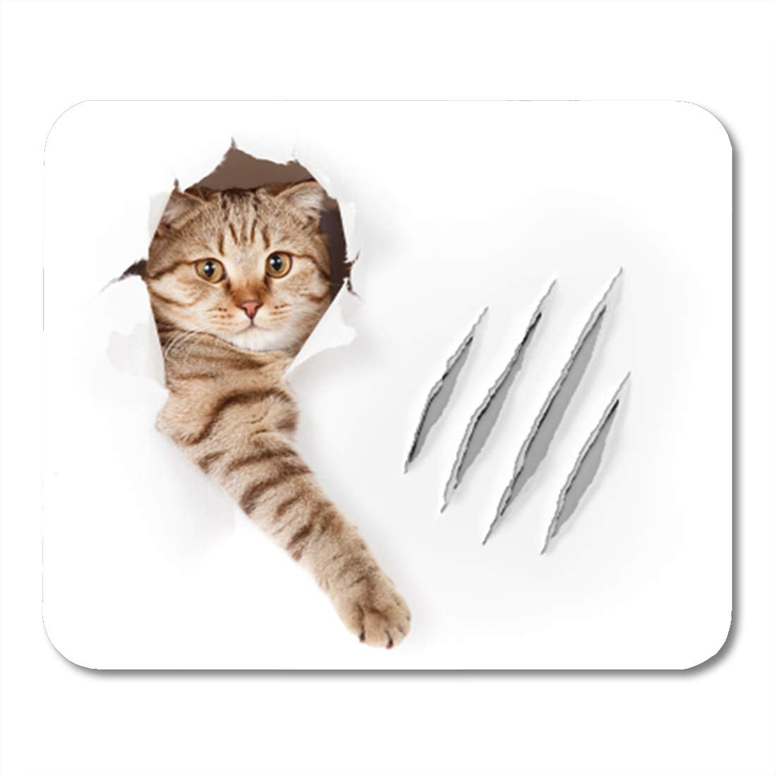 Brown Scratch Funny Cat in Hole Claw Scratches Paw Mousepad Mouse Pad ...