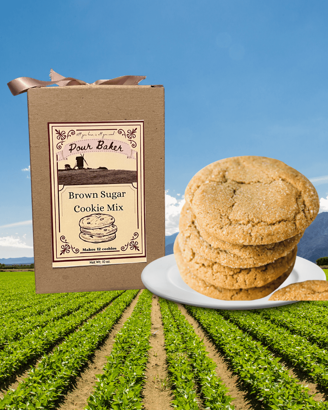 Brown Sugar Cookie Mix - Walmart.com