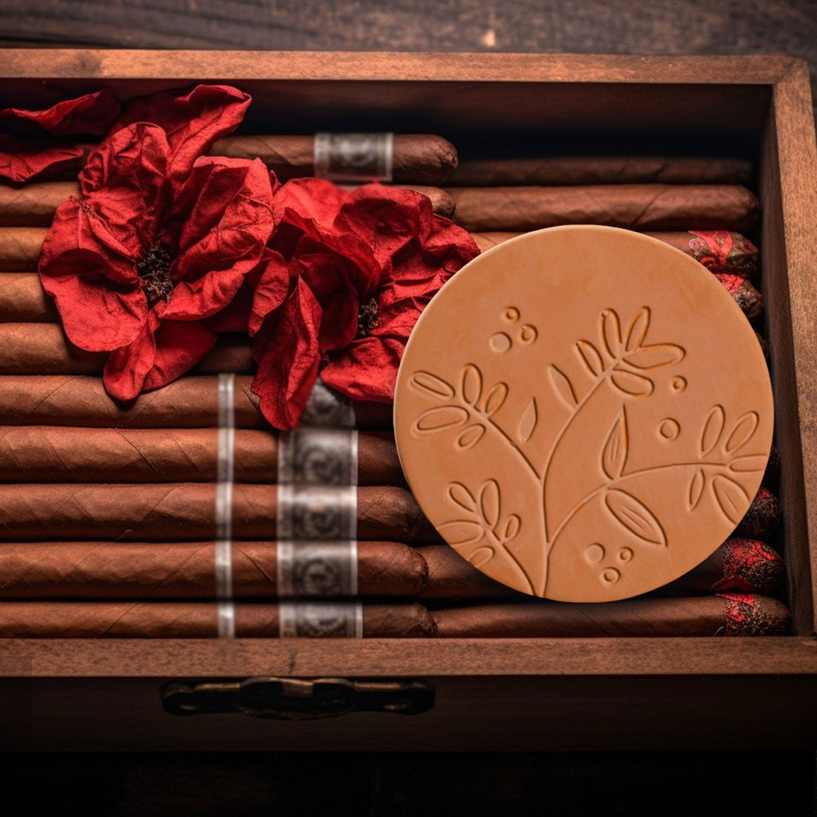 Brown Sugar Keeper Softener Container with Terracotta Brown Sugar Saver ...