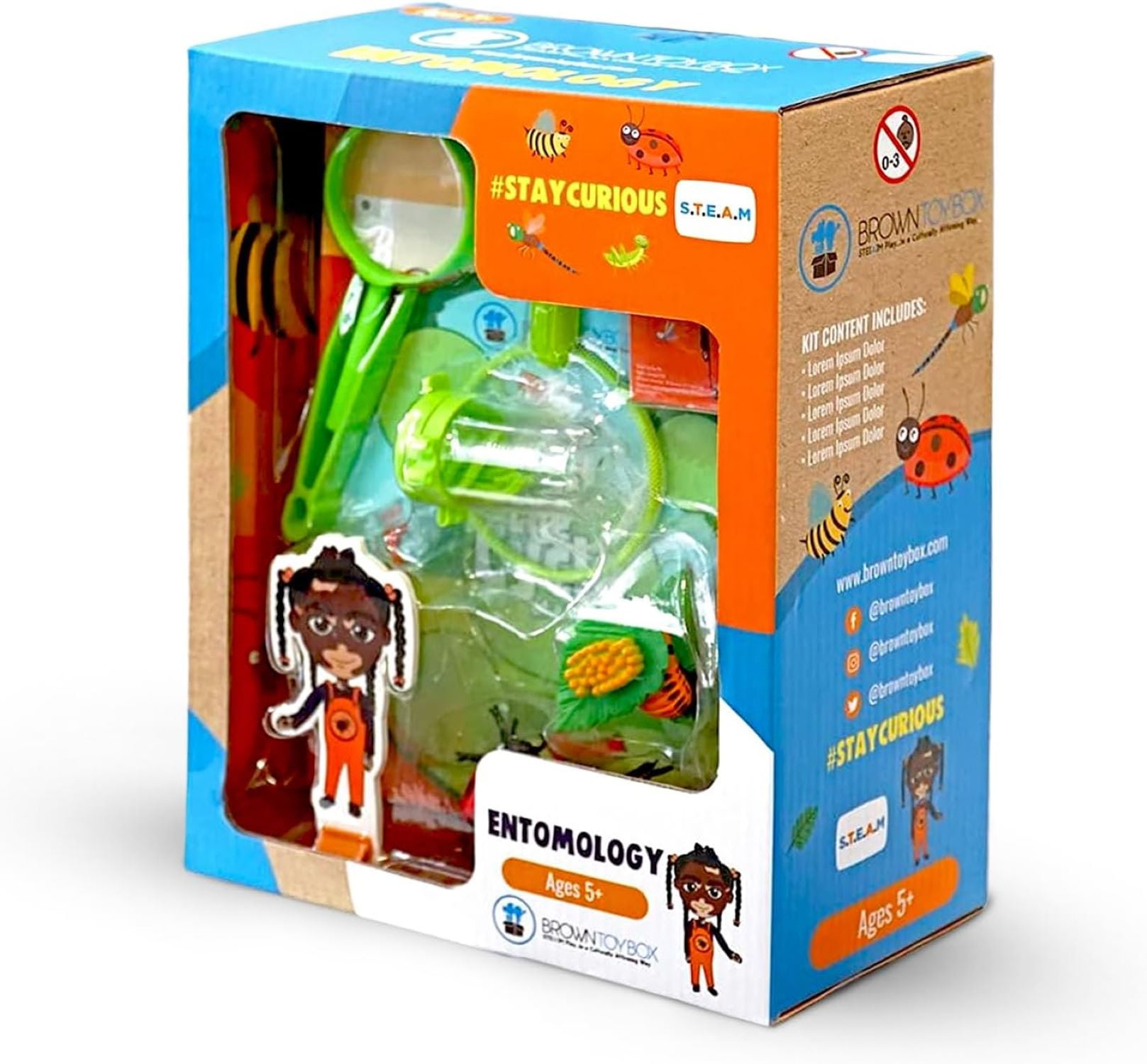 Brown Toy Box Willow Entomology STEAM Science Kit for Children Ages 5 ...