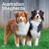 BrownTrout, Australian Shepherds 2027 Wall Calendar - Walmart.com