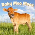 BrownTrout, Baby Moo Moos 2026 Wall Calendar, 12'' X 12'', 16-Month ...