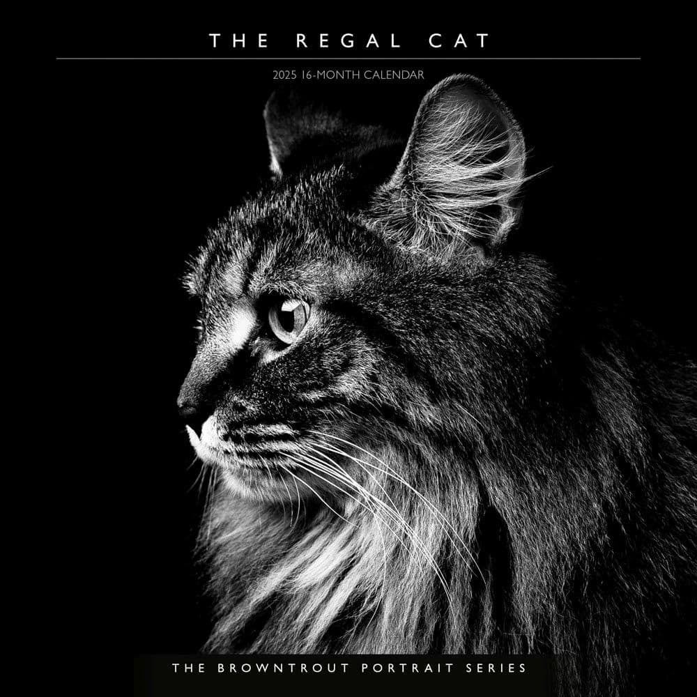 BrownTrout, Cat Regal Portrait Series 2025 Wall Calendar - Walmart.com