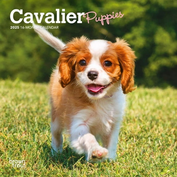 BrownTrout, Cavalier King Charles Puppies 2025 Mini Wall Calendar ...