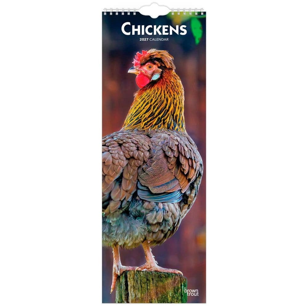 BrownTrout, Chickens 2027 Slim Wall Calendar - Walmart.com
