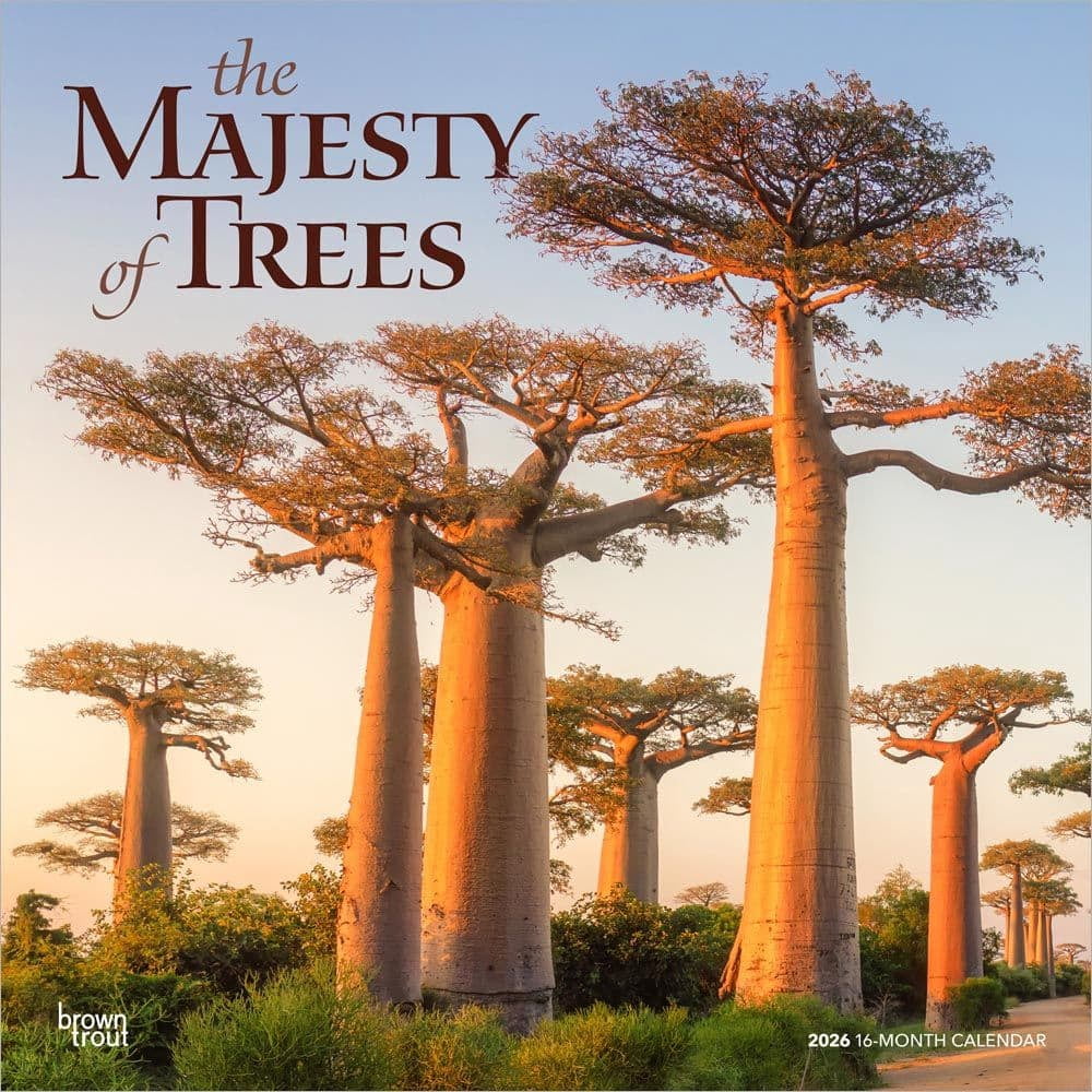 BrownTrout, Majesty of Trees 2026 Wall Calendar, 12'' X 12'', 16-Month ...