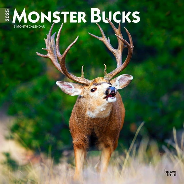BrownTrout, Monster Bucks 2025 Wall Calendar - Walmart.com