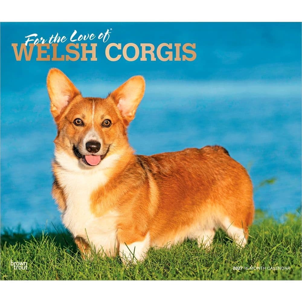 BrownTrout, Welsh Corgis 2027 Deluxe Wall Calendar - Walmart.com