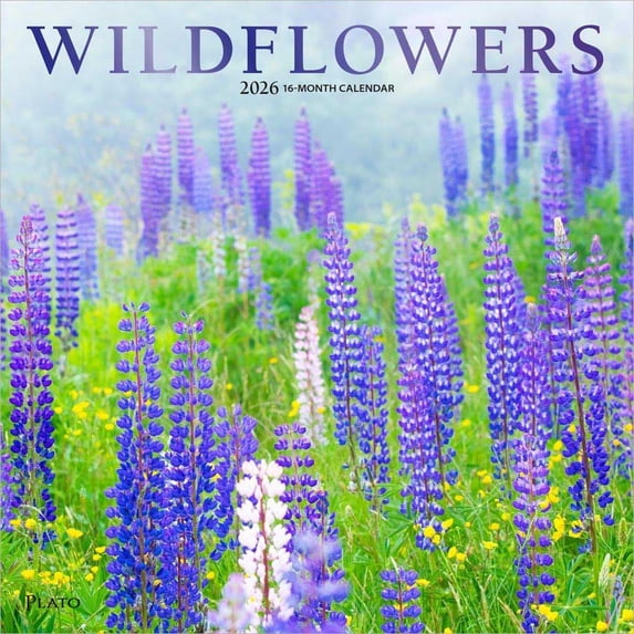 BrownTrout, Wildflowers Plato 2026 Wall Calendar, 12'' X 12'', 16-Month ...