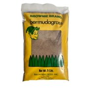 20 RARE BURNING BUSH SEEDS COLD HARDY COLOR GRASS PLANT - Walmart.com