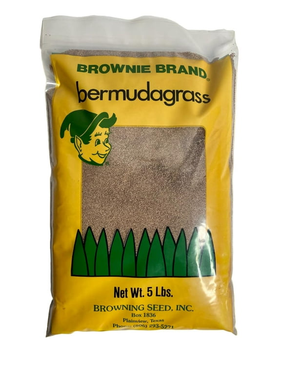 Bermuda Grass Seeds In Grass Seed And Sod