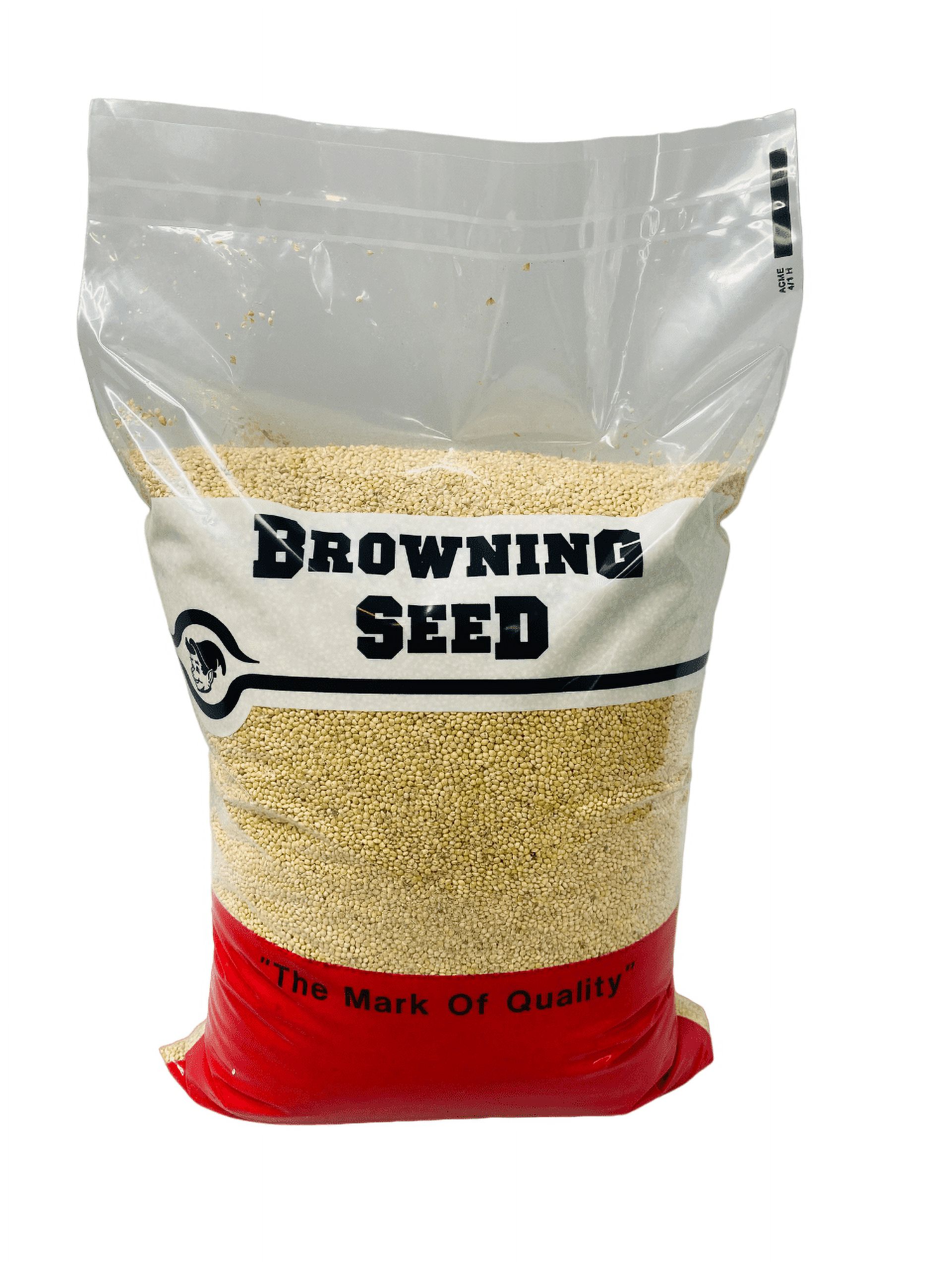 GC - Songbird Essentials - Clear Hummingbird Nectar - 8 oz. - Walmart.com