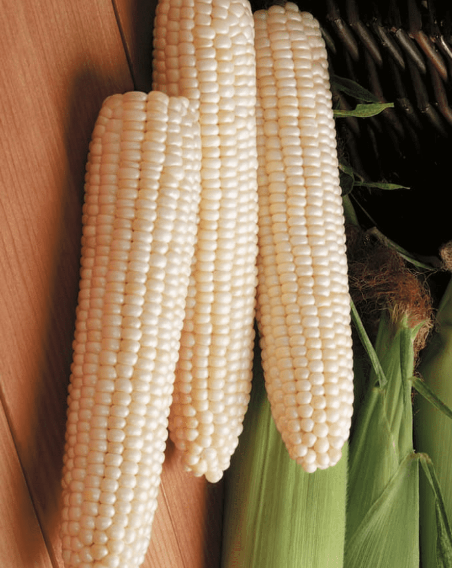 Browning Seed Sweet Corn Avalon-Homh, Seed Packet. Full Sun. - Walmart.com