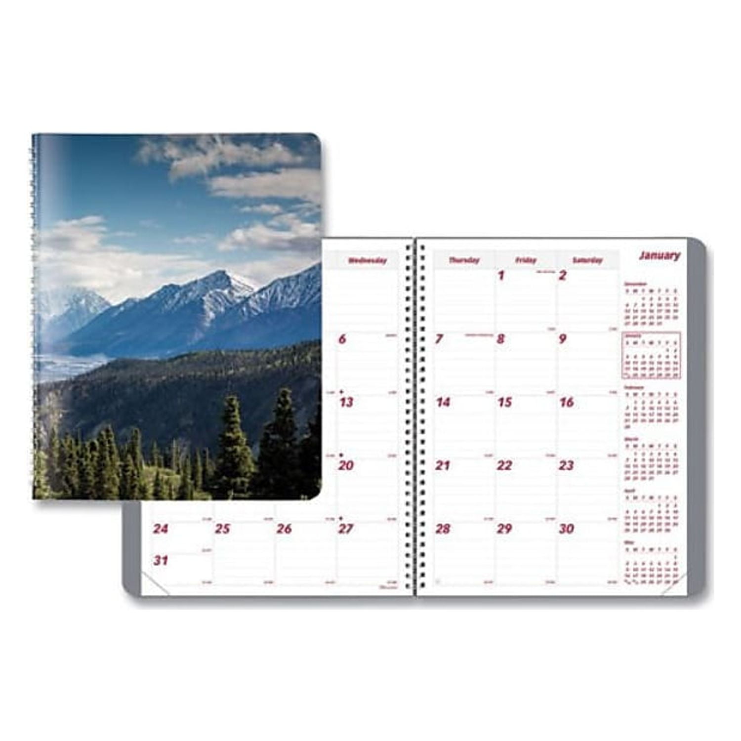 Rediform Office Products CB1262G04 2021 Mountain Monthly Planner - Blue ...