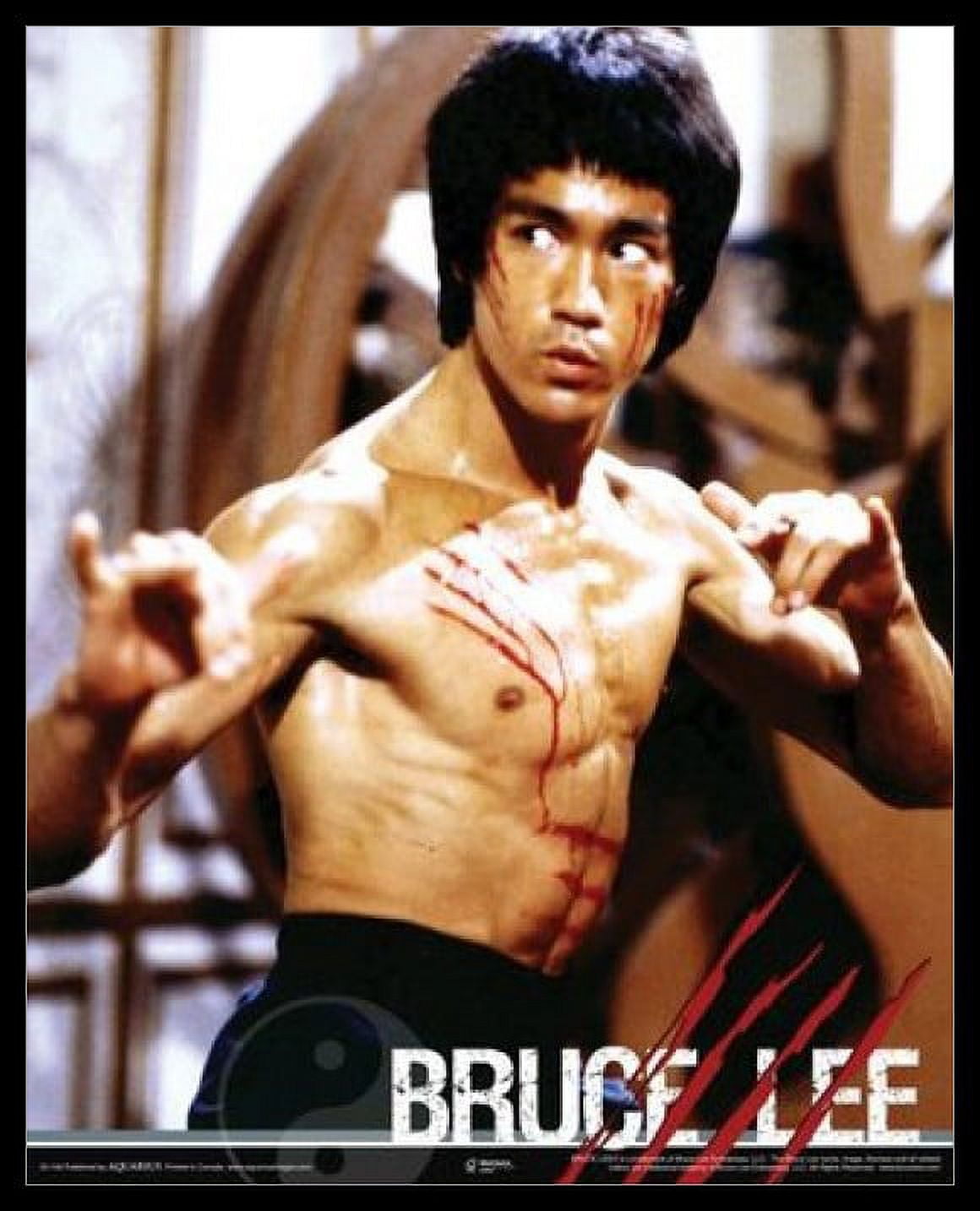 Bruce Lee - Fight Laminated & Framed Poster (16 x 20) - Walmart.com
