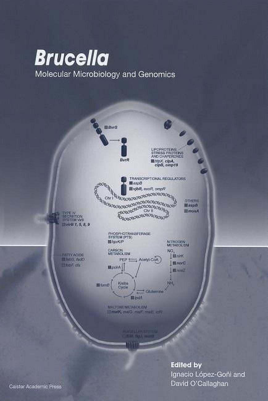 Brucella : Molecular Microbiology and Genomics - Walmart.com