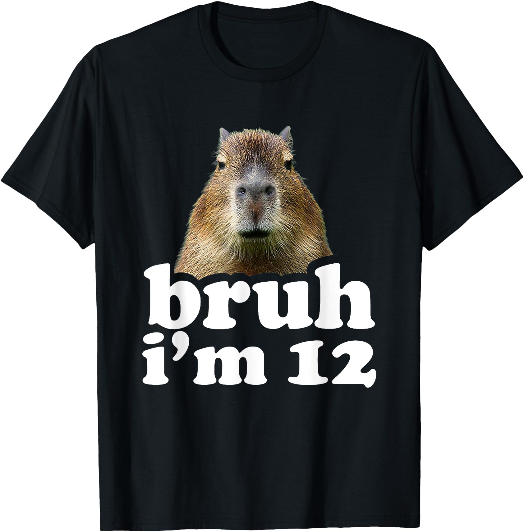 Bruh I'M 12 Year Old Capybara 12Th Birthday Capybara Unisex S-5XL T ...