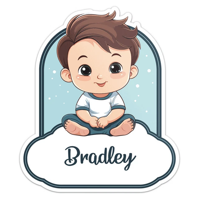 Brunet Baby Boy Bradley Sticker Phone Decal Water Bottle Stickers Car ...