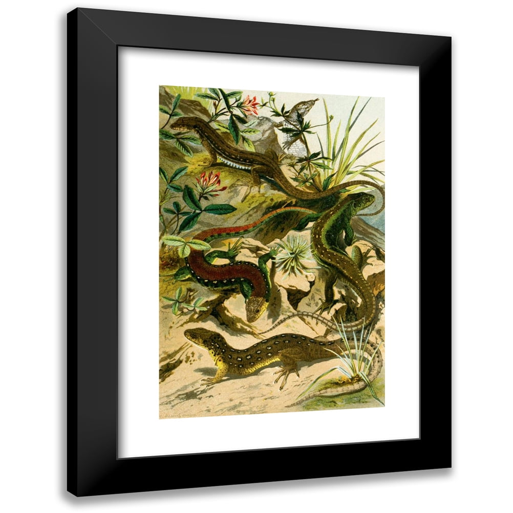 Bruno Dürigen 11x14 Black Modern Framed Museum Art Print Titled ...