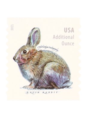 Stamps and Stamp Supplies - Walmart.com