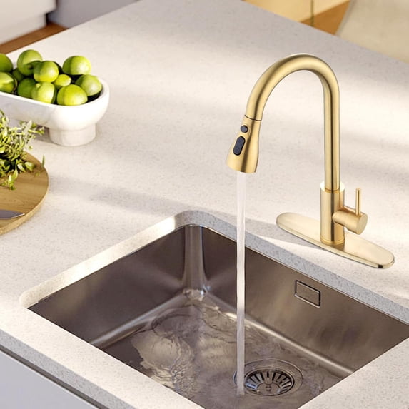 Brushed Gold Kitchen Faucet with Pull Down Sprayer, High Arc Single ...
