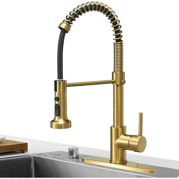 Brushed High Arc Spring Kitchen Faucet with Pull Down Sprayer ...