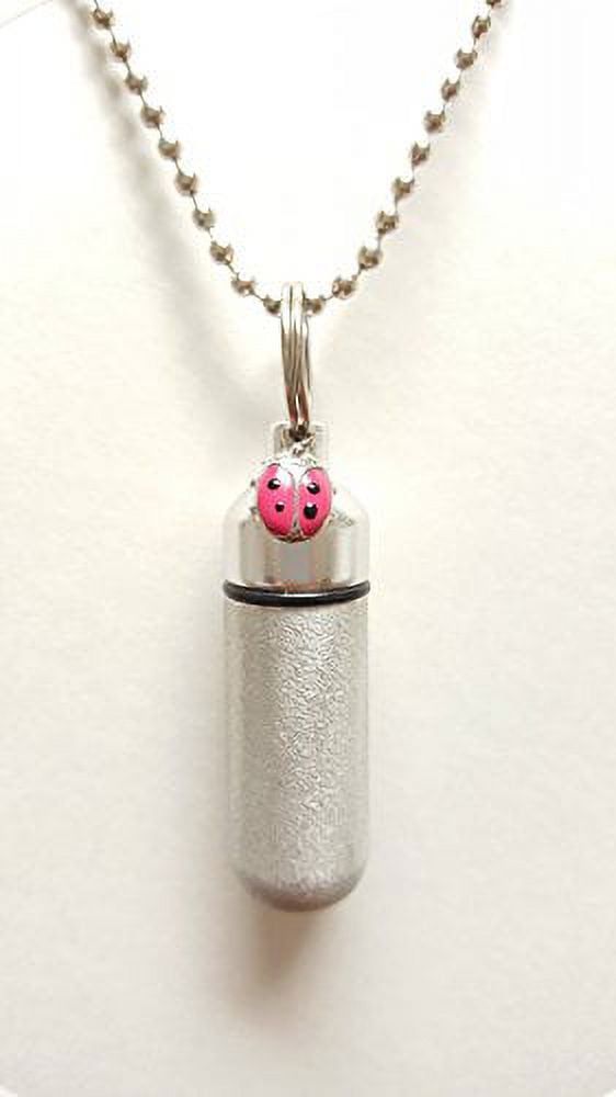 Brushed Silver LADYBUG CREMATION URN with ENGRAVED HEART - Includes ...