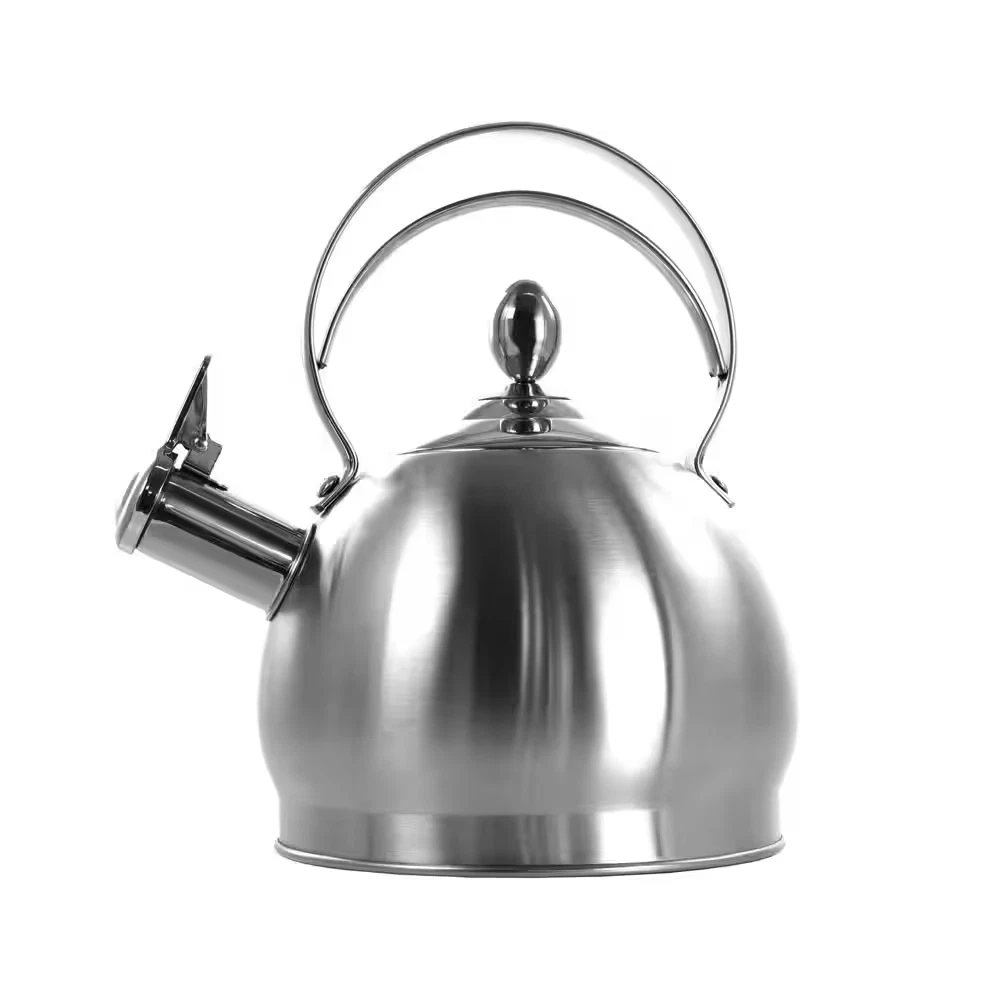 Brushed Silver Stainless Steel Whistling Kettle Flip Spout Removable ...