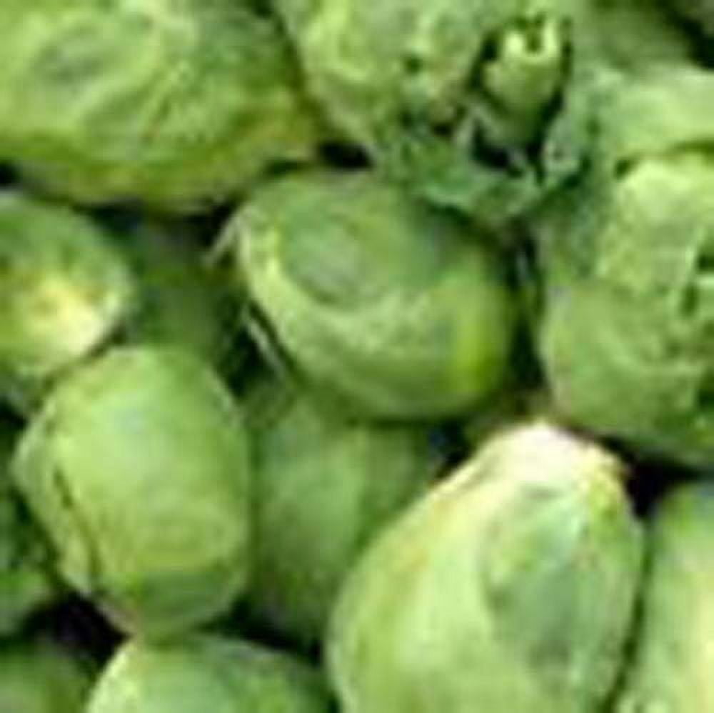 Seed Kingdom 20000 Brussel Sprouts Plant Seeds - Walmart.com