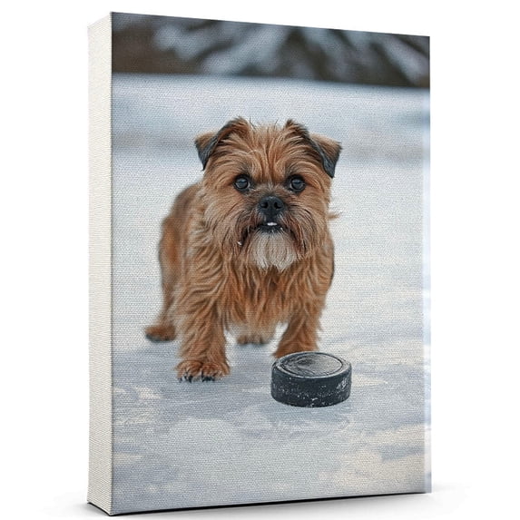 Brussels Griffon Dog Stretched Canvas Size 8x12 Ice Hockey Canvas ...