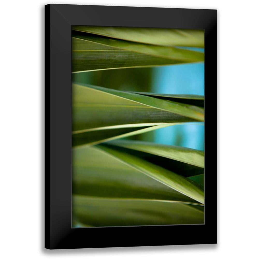 Bryant, Susan 11x14 Black Modern Framed Museum Art Print Titled - Palma ...