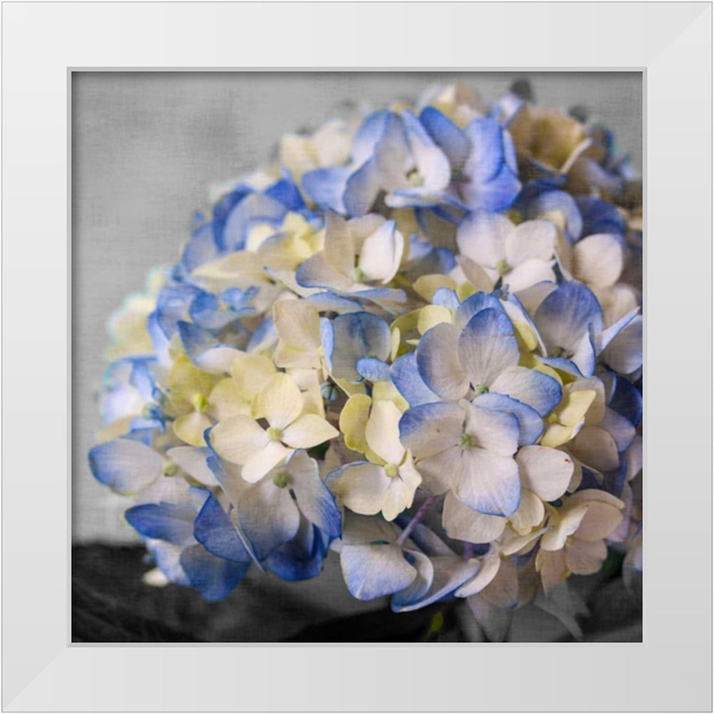 Bryant, Susan 26x26 White Modern Wood Framed Museum Art Print Titled ...