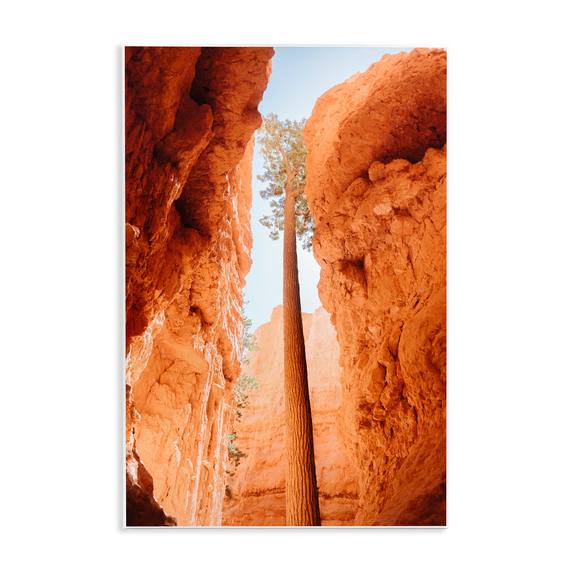 Stupell Industries Bryce Canyon Looming Cliffs Wall Plaque Art, design ...
